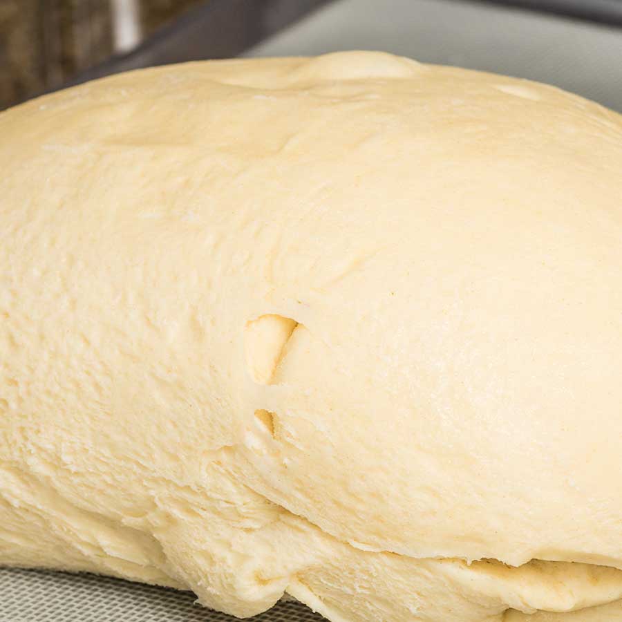 Dough Rising – IRIS USA