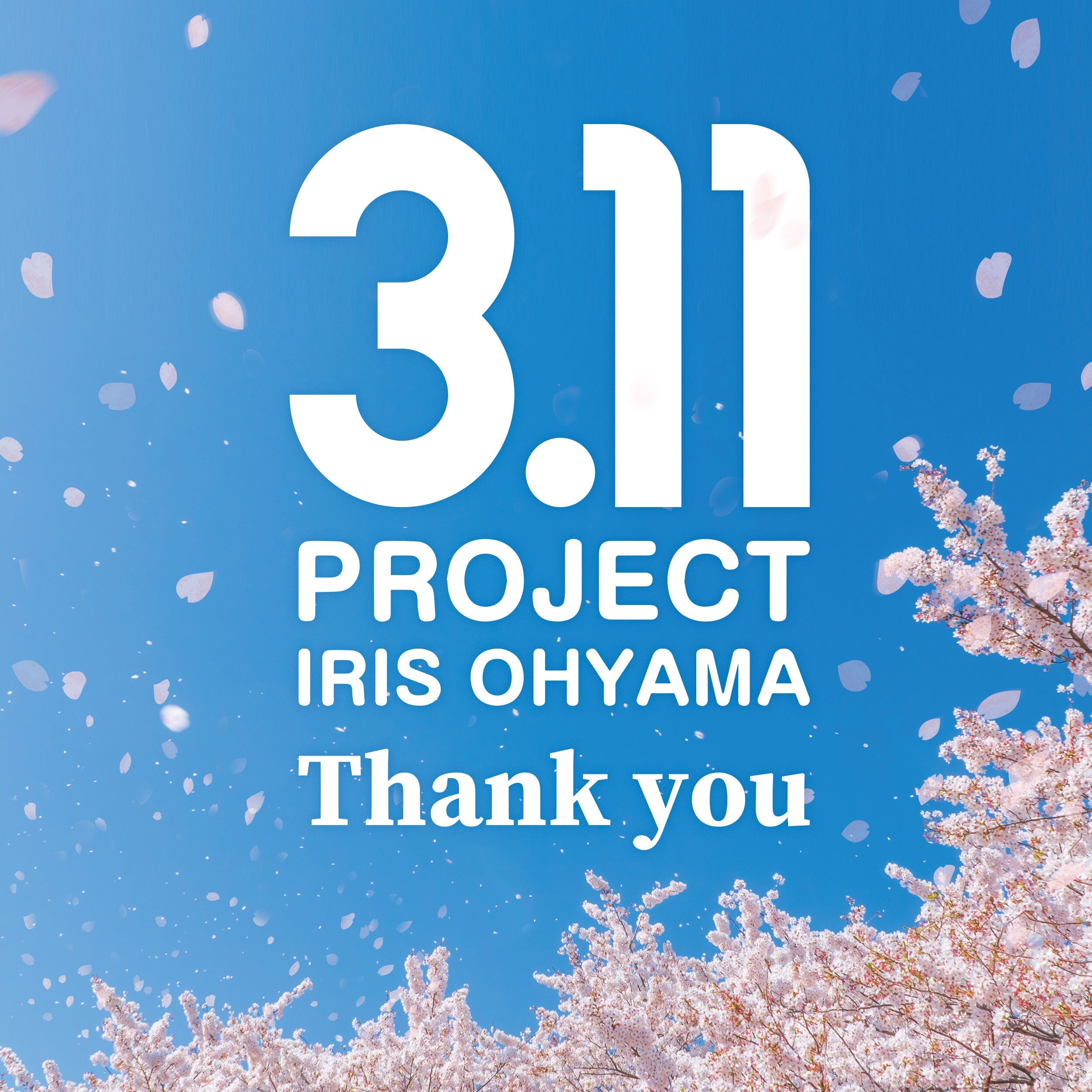 Re-Launching The 3.11 Project – IRIS USA