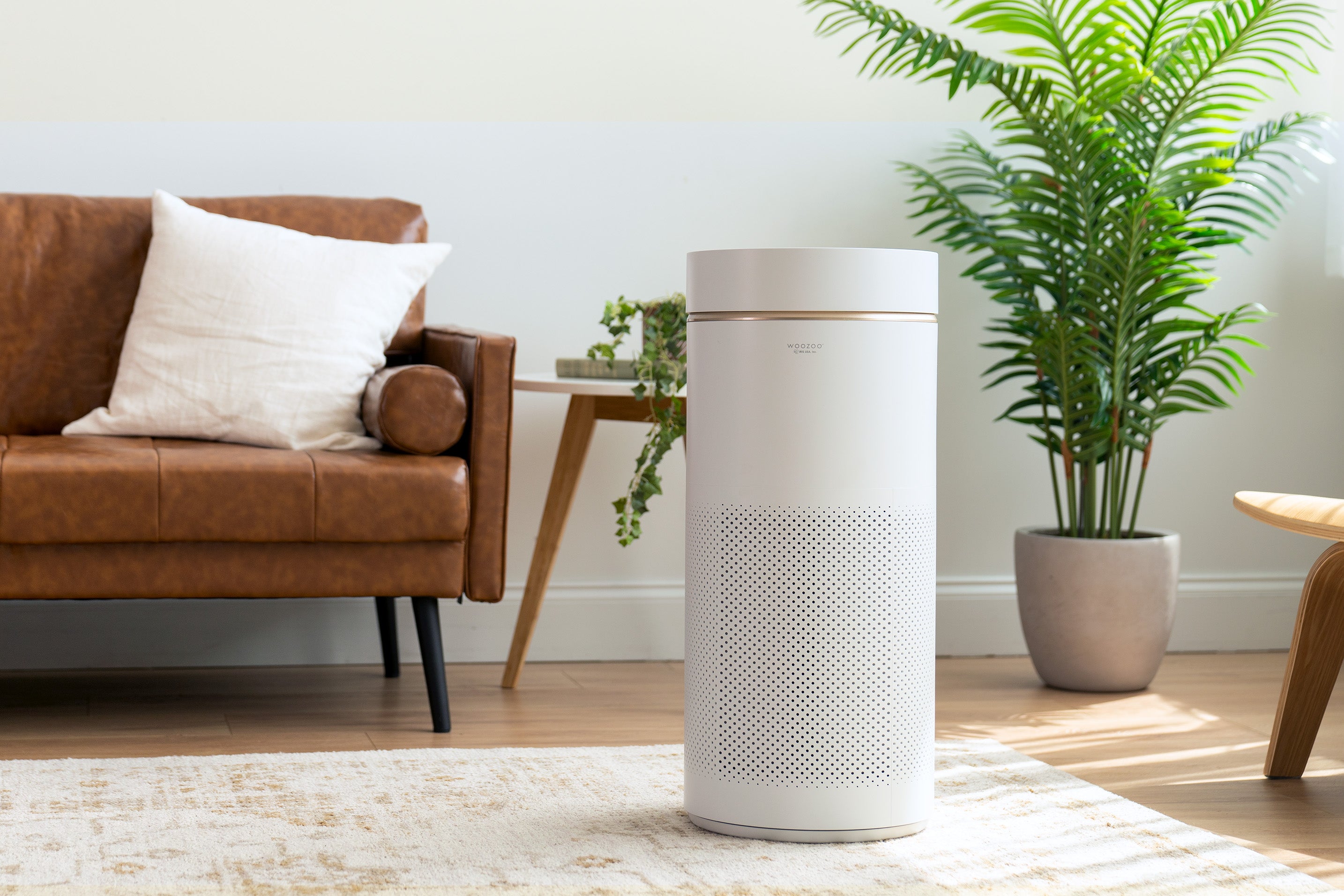 WOOZOO® Air Purifiers | Free Shipping – IRIS USA