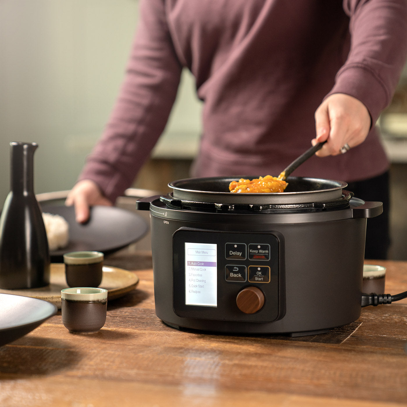 8-IN-1 Pressure Cooker / Rice Cooker with Waterless Cooking – IRIS USA